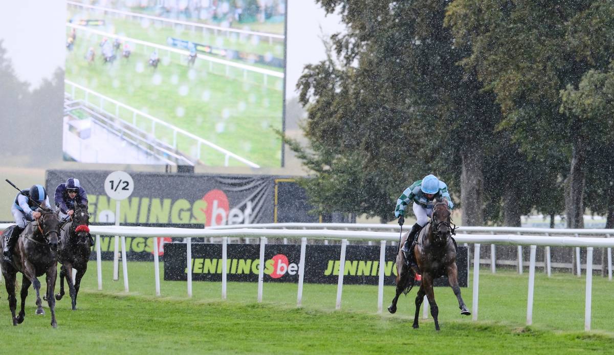 WOODHAY WONDER takes the riches. - Tom Ward Racing