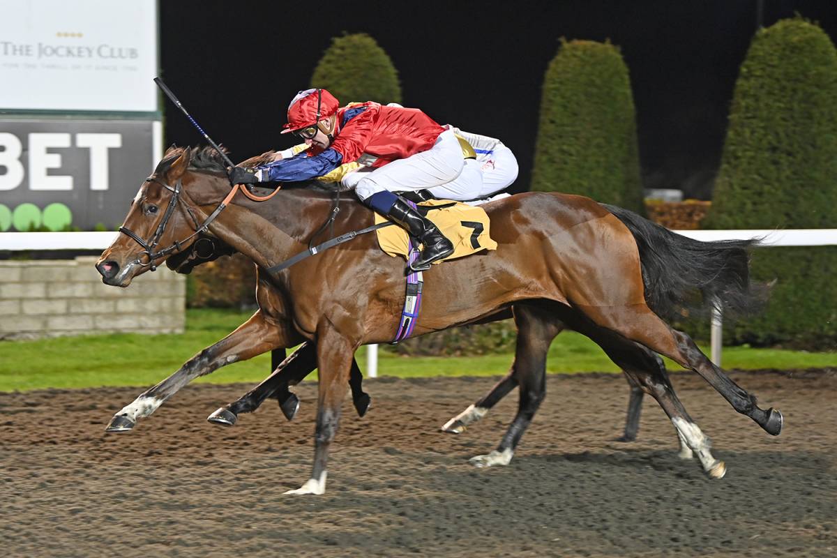 Intricate Pillar wins her Novice - Tom Ward Racing