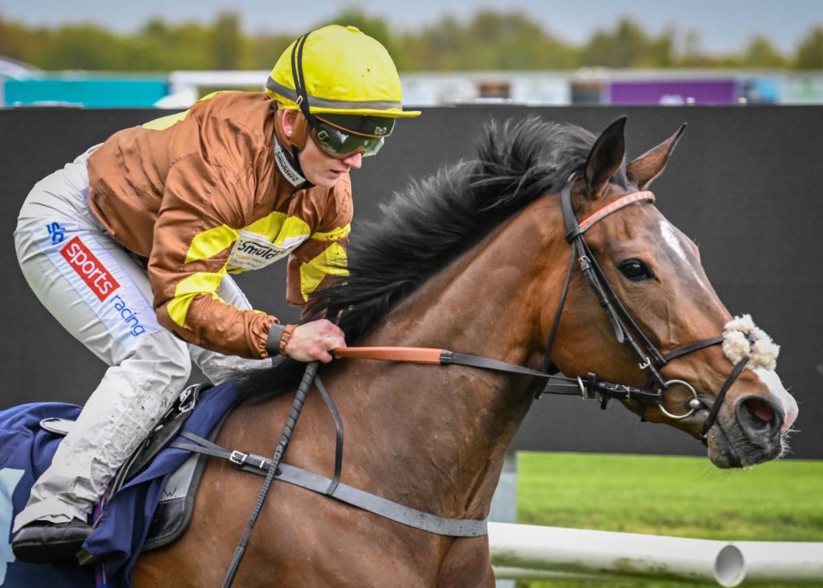 Monthly Newsletter - June 2024 - Tom Ward Racing