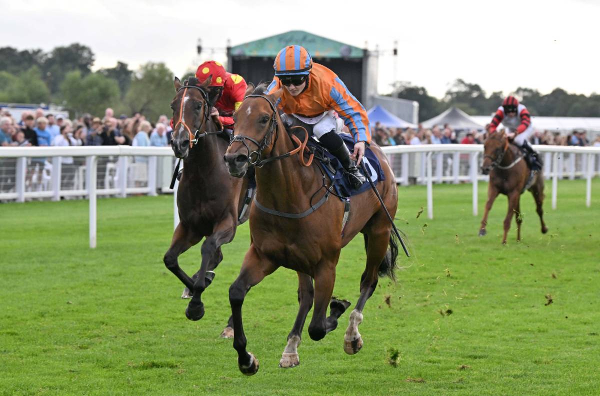 A Fantastique result - Tom Ward Racing