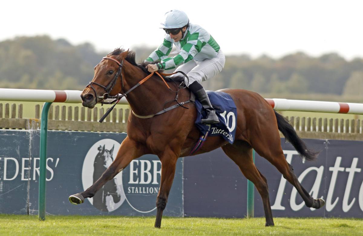 Woodhay Wonder doubles up - Tom Ward Racing