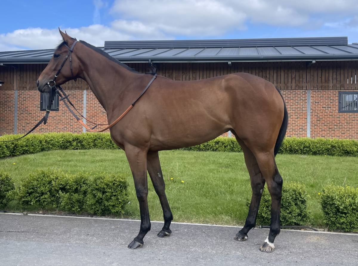 The Flag Flies Again - Tom Ward Racing