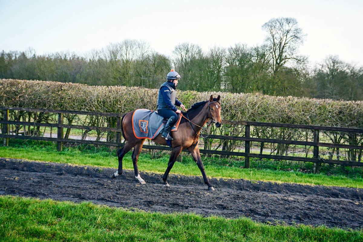 Art Fantastique wins on the bounce - Tom Ward Racing