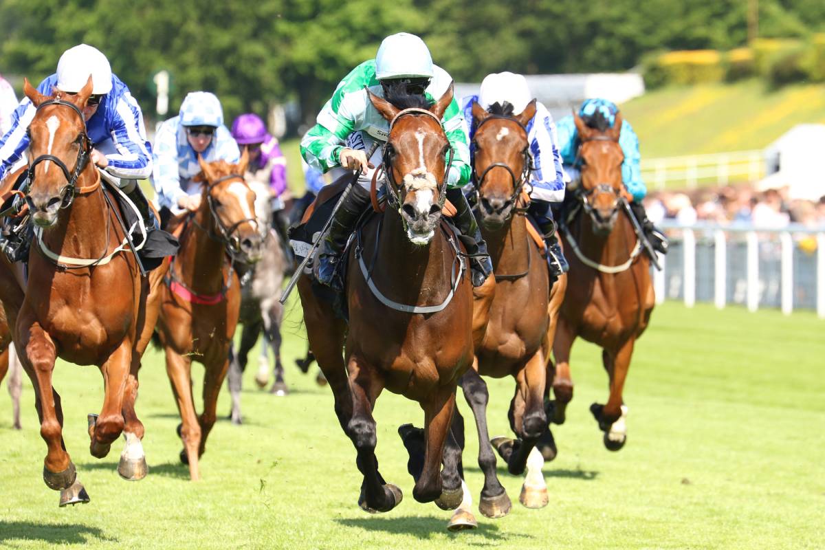 Crystal Flies into First - Tom Ward Racing