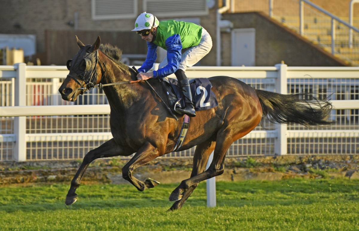 A rare BEAUTY - Tom Ward Racing