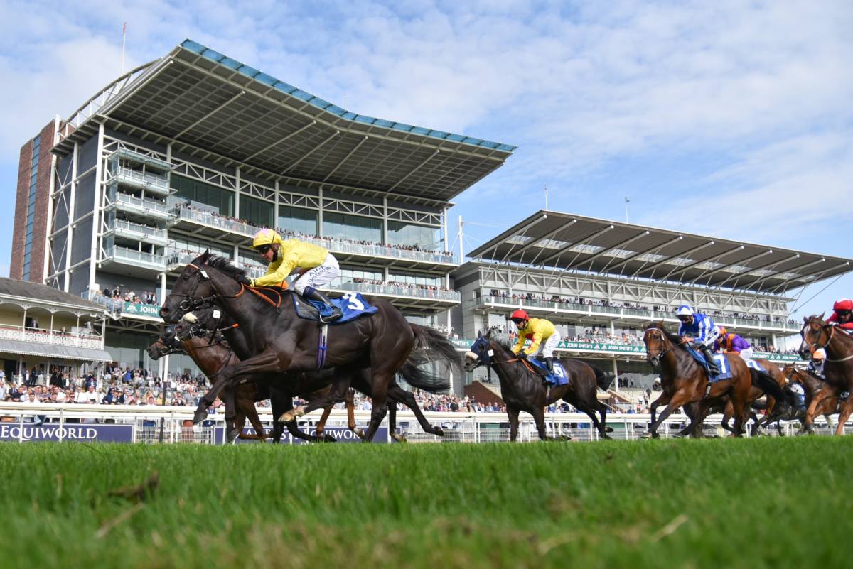 Capote's DREAM campaign - Tom Ward Racing