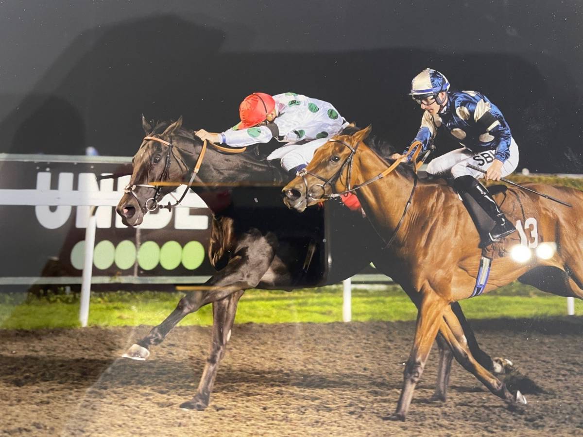 Back to Culture - Tom Ward Racing