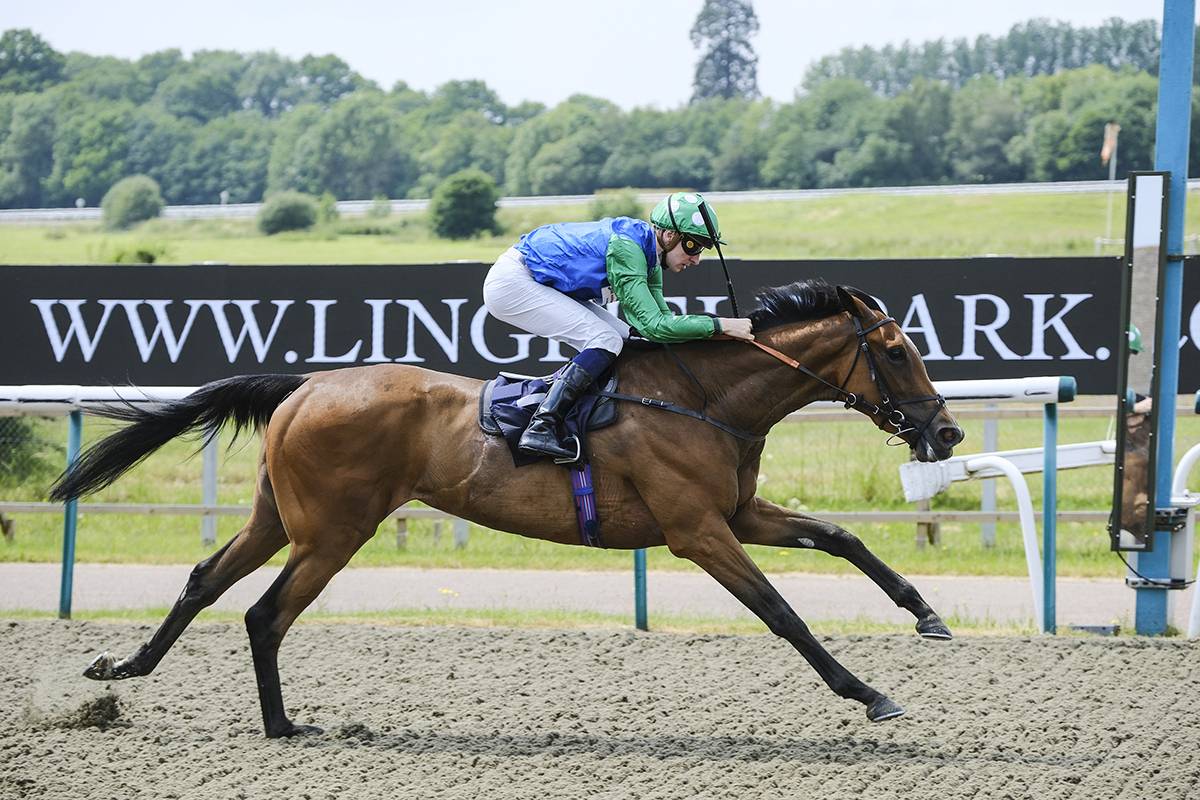 A rare commodity from Book One - Tom Ward Racing