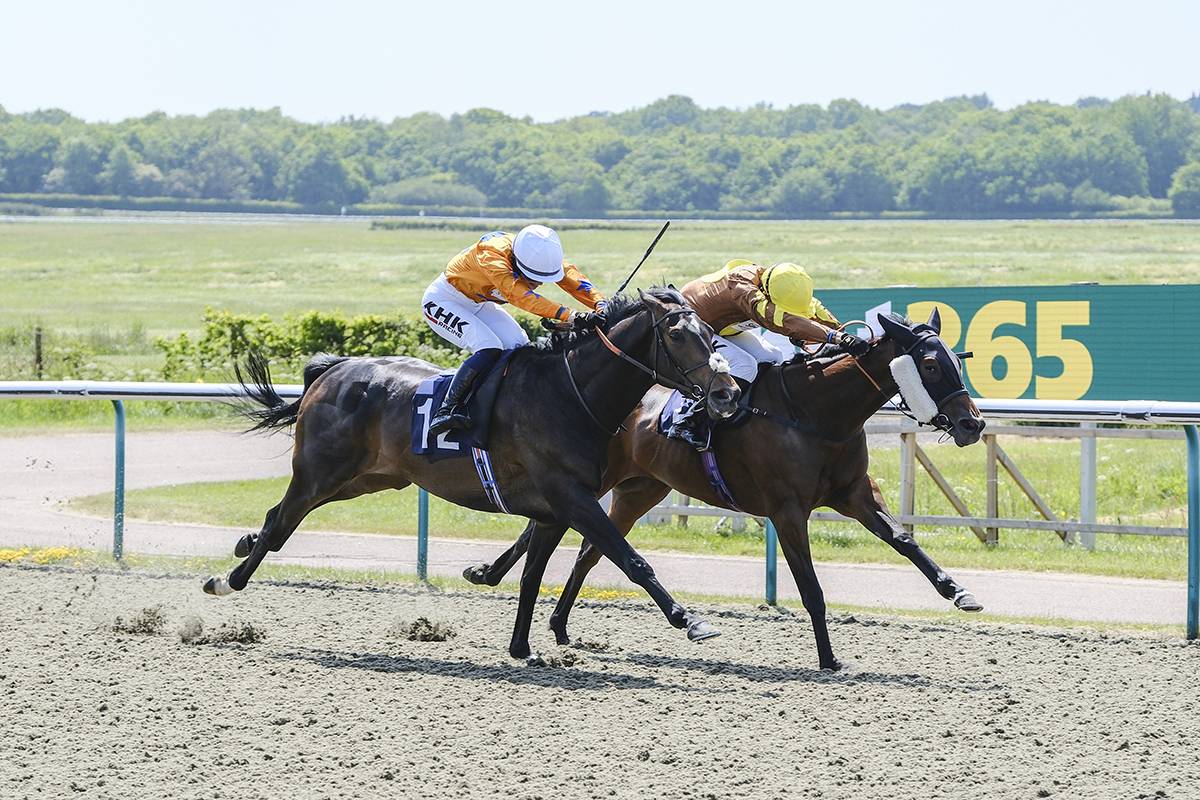 Savannah Smiles’ winning finale - Tom Ward Racing