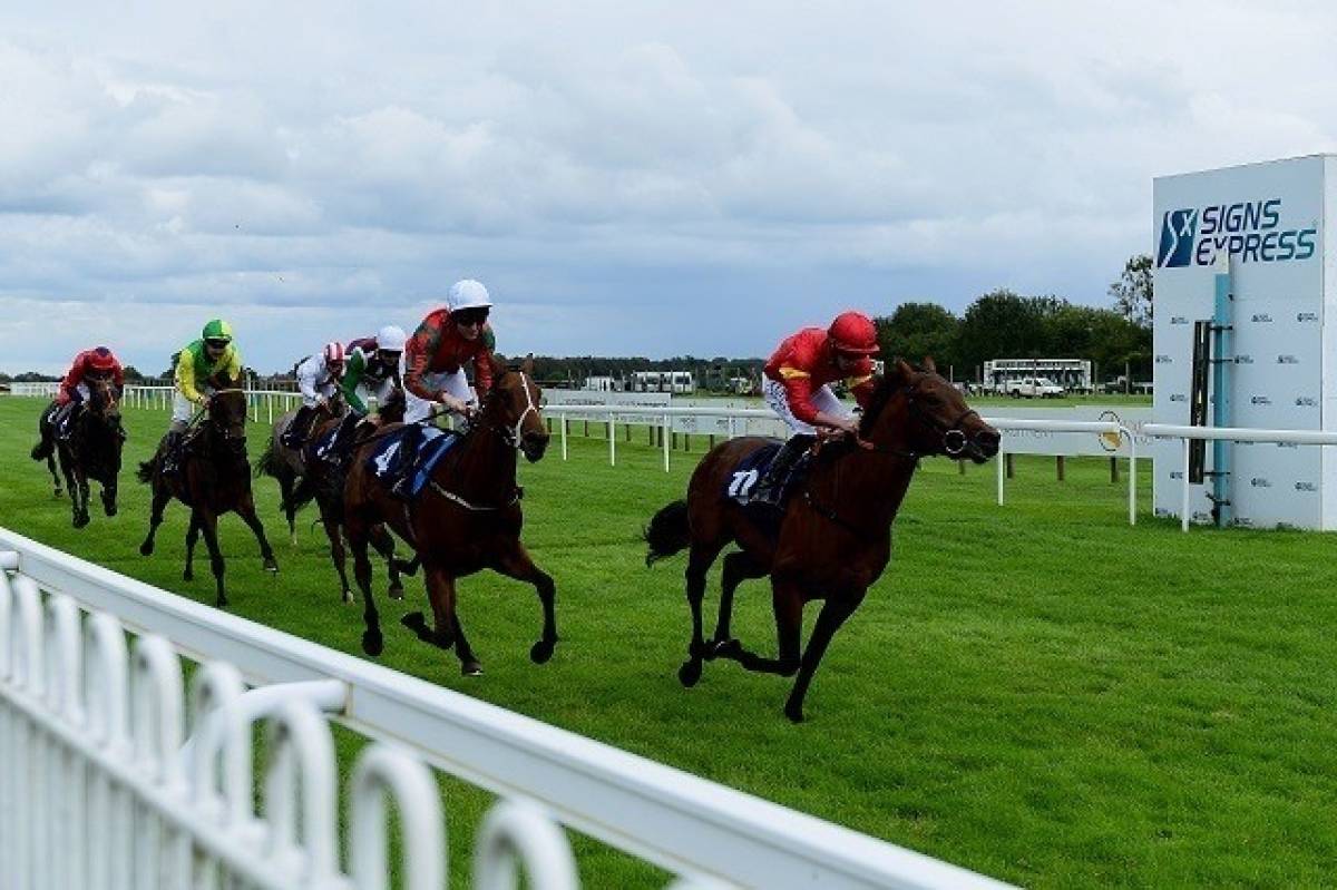Off the mark at Whitehouse Stables - Tom Ward Racing