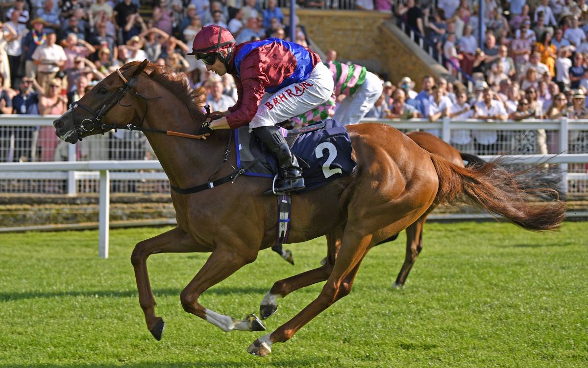 CATCHING UP ON WINNERS - Tom Ward Racing