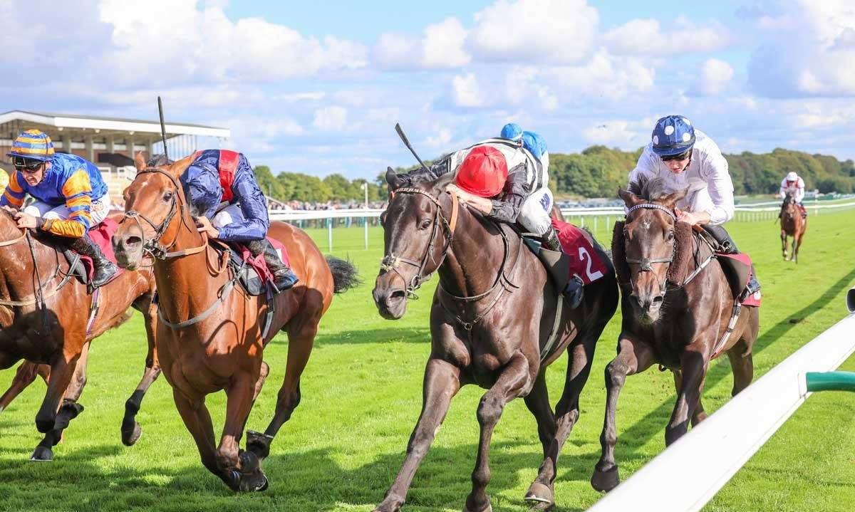 Double Cherry comes out ontop - Tom Ward Racing