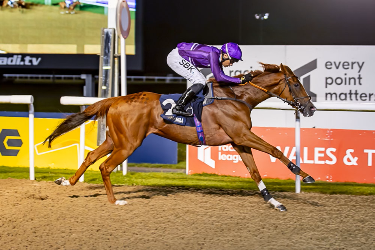 Monthly Newsletter - July 2024 - Tom Ward Racing