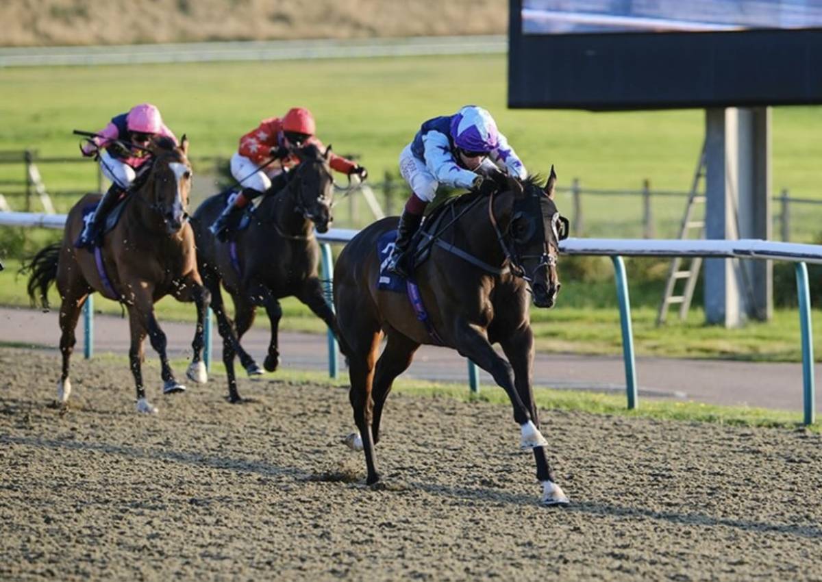 Monthly Newsletter - September 2024 - Tom Ward Racing