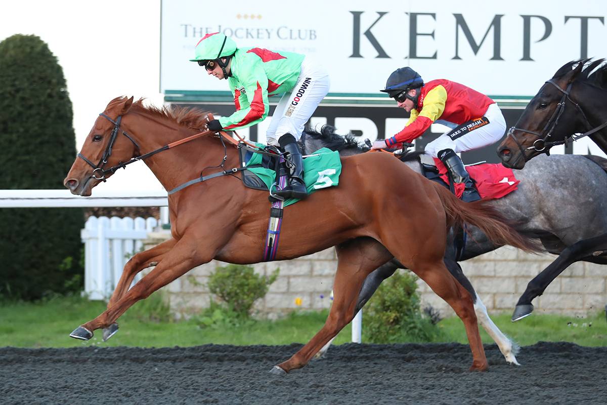 PRIME TIME! - Tom Ward Racing