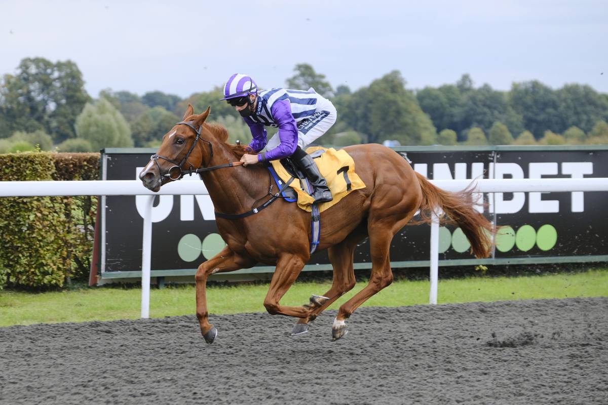 ‘Star’ was born - Tom Ward Racing