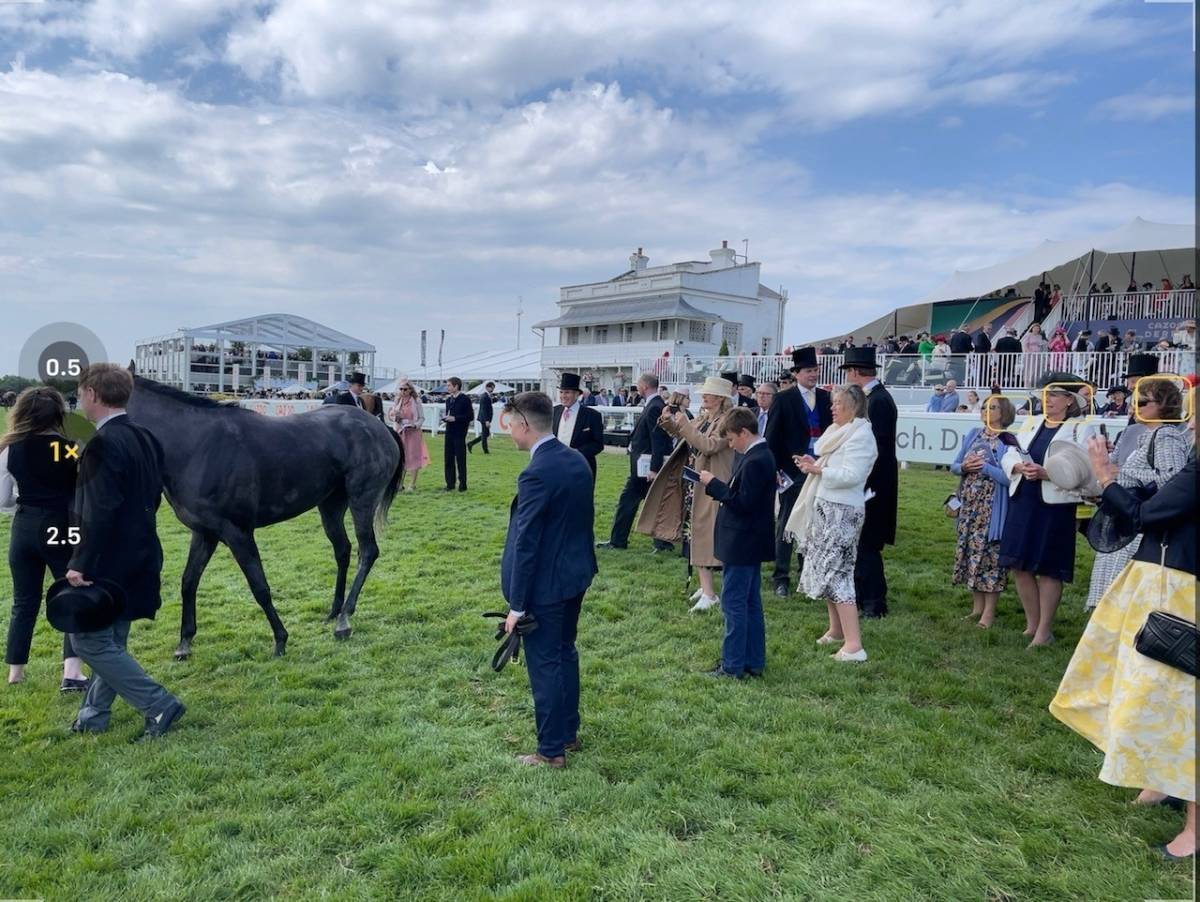 Roman Mist gains more Black Type - Tom Ward Racing