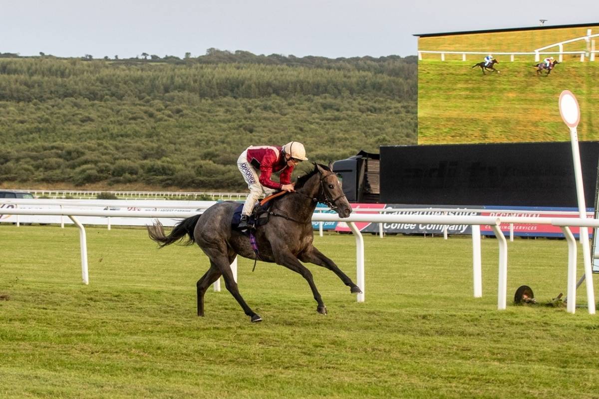 ROMAN MIST strikes again - Tom Ward Racing
