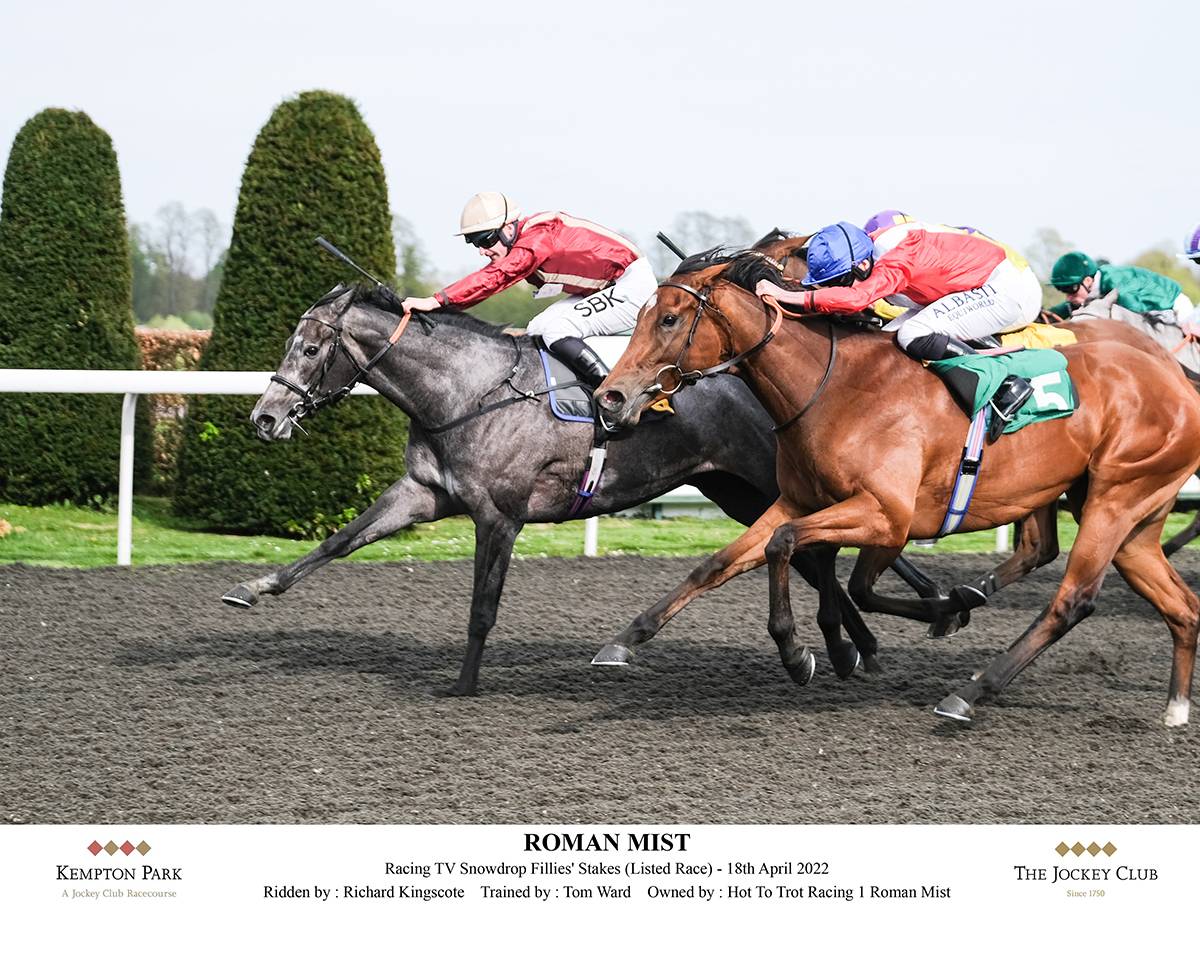 Listed Triumph - Tom Ward Racing