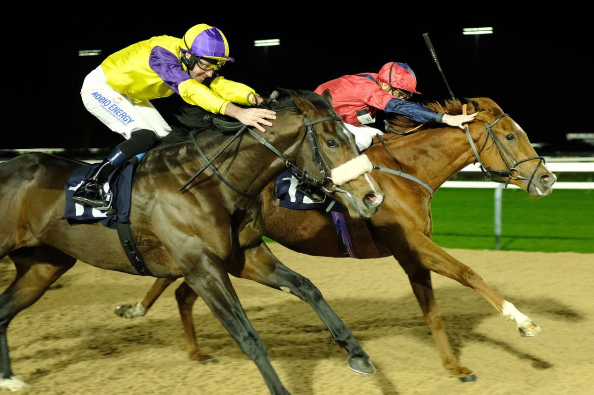 Monthly Newsletter - November 2024 - Tom Ward Racing