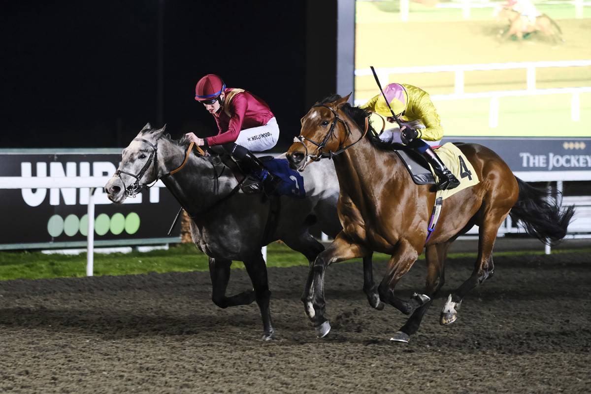 THE TURPINATOR NODS THE FINISH - Tom Ward Racing