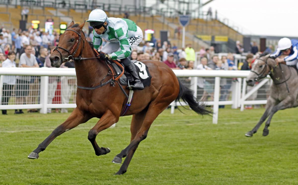 A wonderful victory for Woodhay partners - Tom Ward Racing