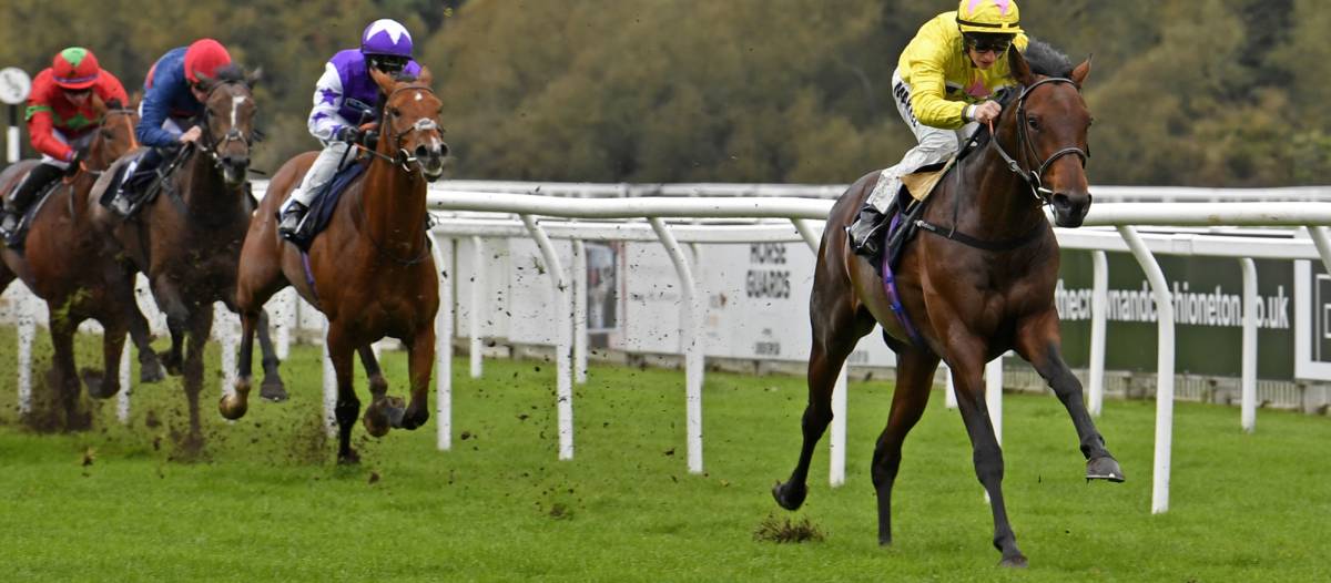 The Beginning - Tom Ward Racing