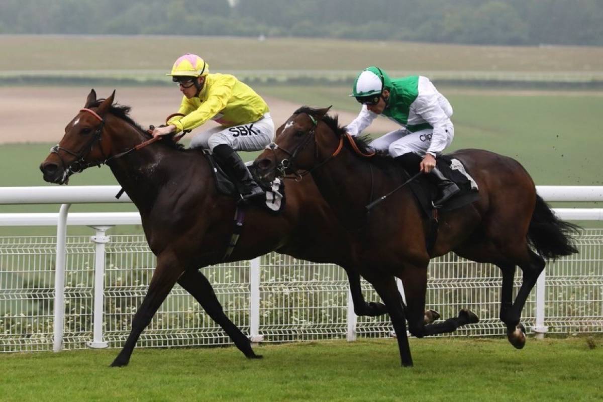 The Turpinator dominates at Goodwood - Tom Ward Racing