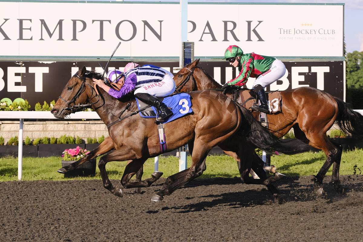 Twilight shines at Kempton - Tom Ward Racing